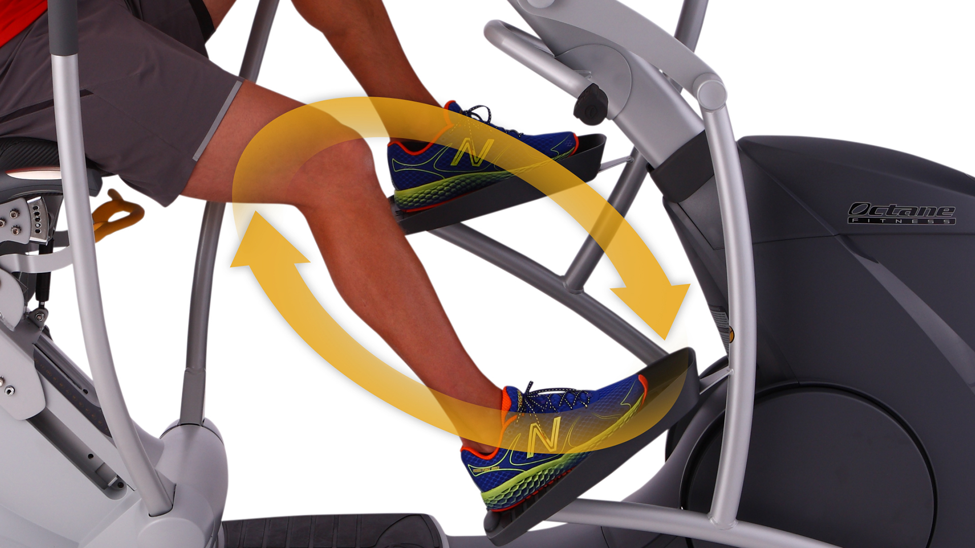 Octane xR6xi Seated Elliptical