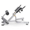 Matrix Aura Back Extension Bench