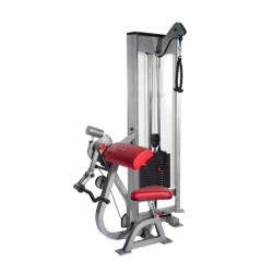 Raptor Seated Arm Curl - Standing Tricep - 150lb Weight Stack