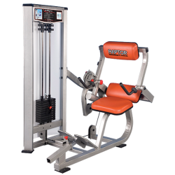 Raptor Low Back Extension - 150lb Weight Stack