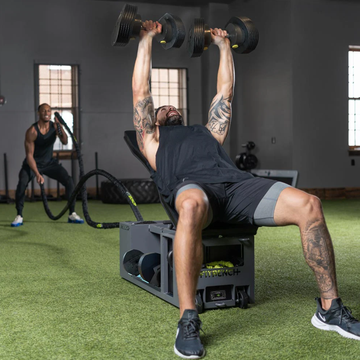 FitBench Pro