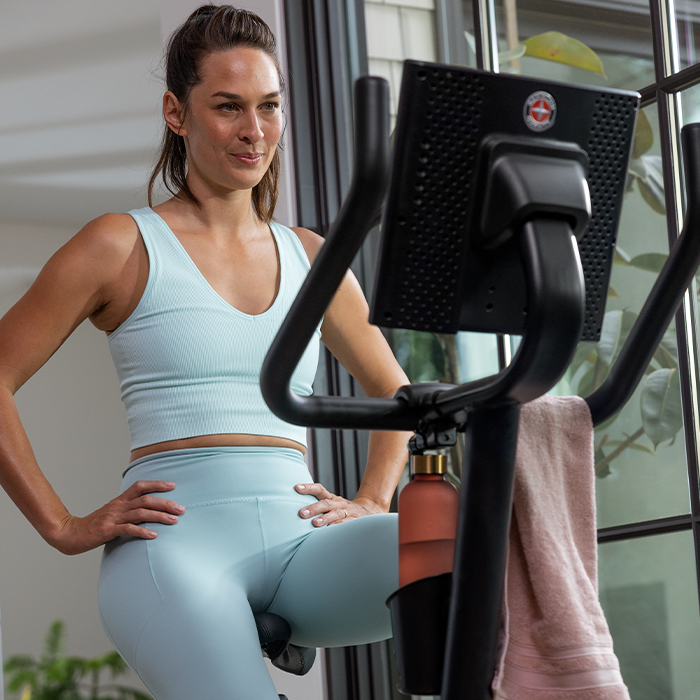 Schwinn 190 Upright Bike