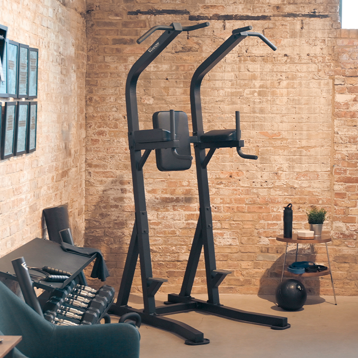 Vision 300-VKR Vertical Knee Raise