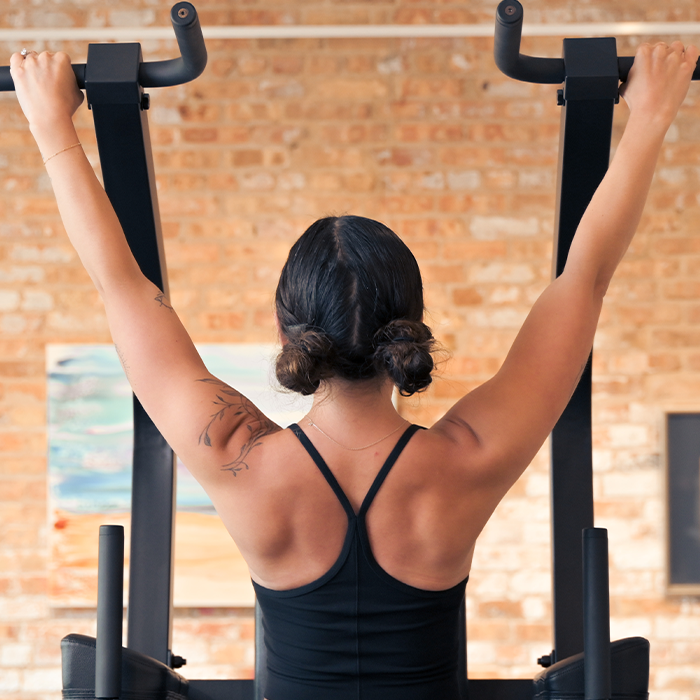 Vision 300-VKR Vertical Knee Raise